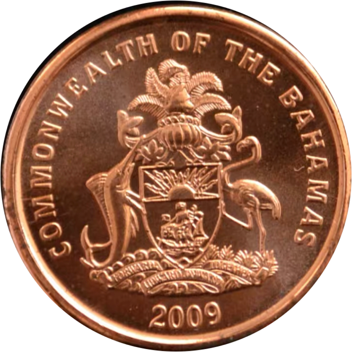 2009 Bahamas starfish 1 cent – CoinLegend